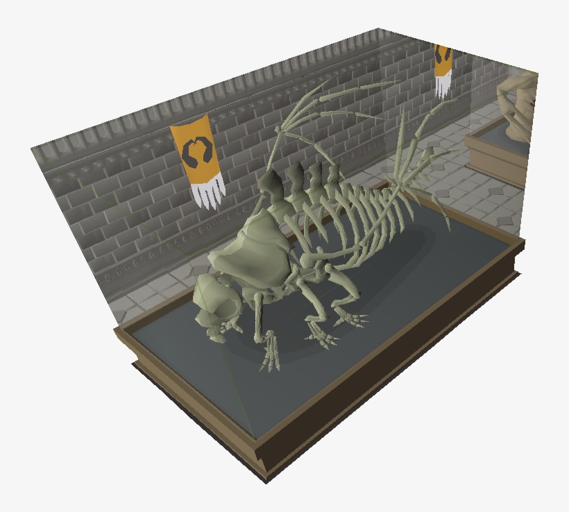 Dragonfly Display - Portable Network Graphics - 732x658 PNG Download ...