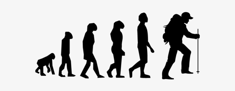 We Spent Millions Of Years Moving Away From Walking - Evolution Of Man ...