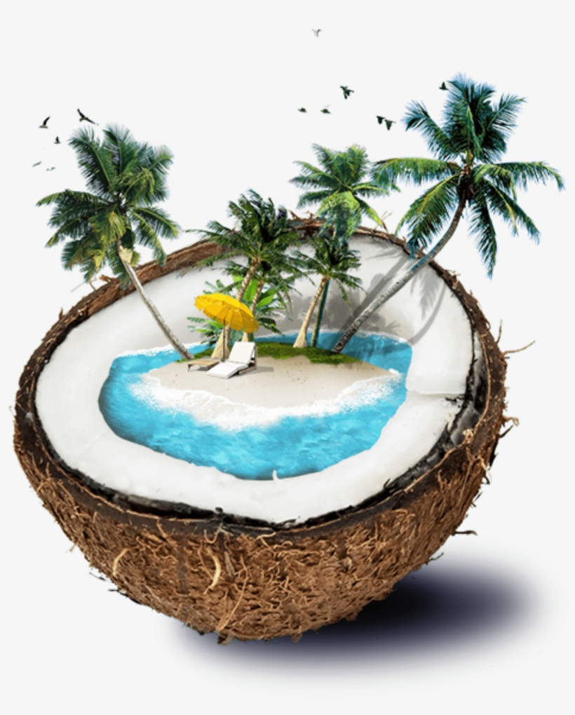 Denismorrow › Tropical Beach Lounge - Coconut Tree Theme - 3000x3000 ...