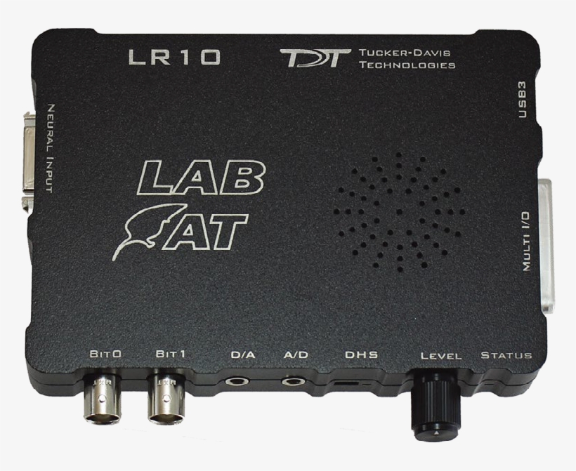 Labratシステム - Rat - 762x591 PNG Download - PNGkit
