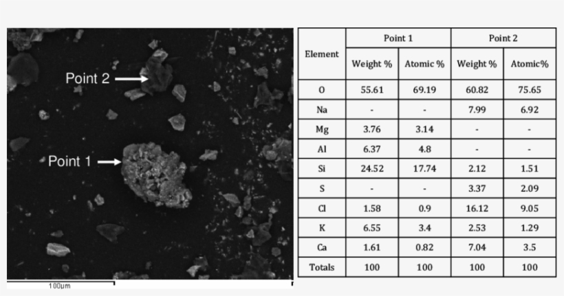 Sem Image Of The Indoor Dust Sample With Eds Compositional - Jobst ...
