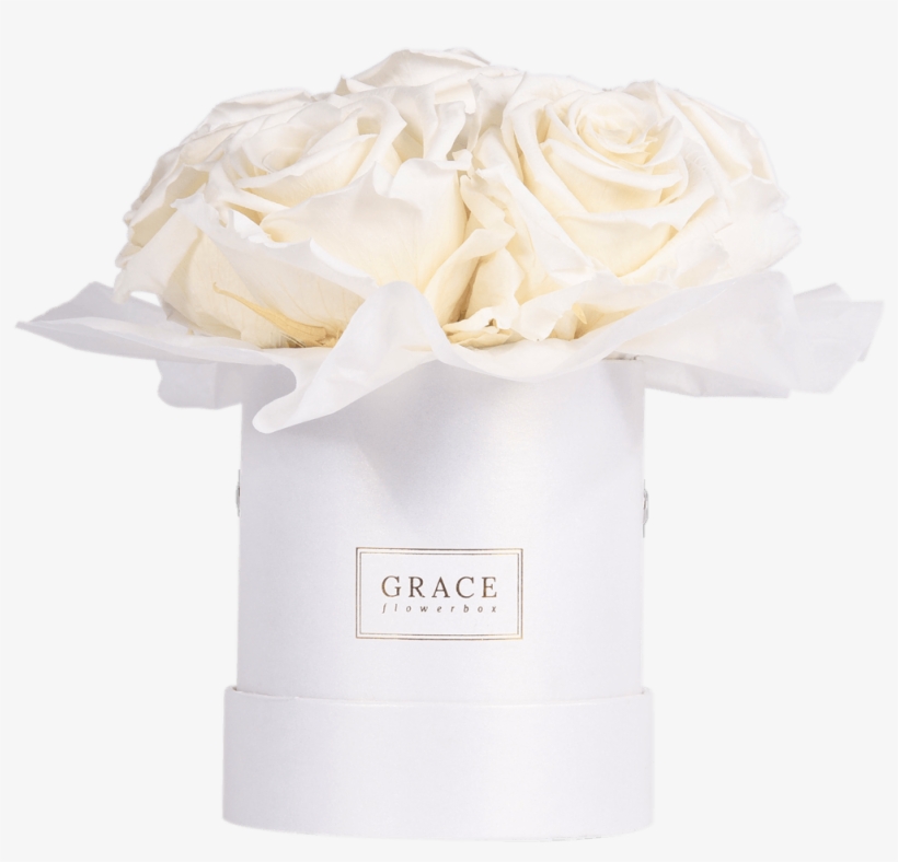 Article - 1138x1200 PNG Download - PNGkit