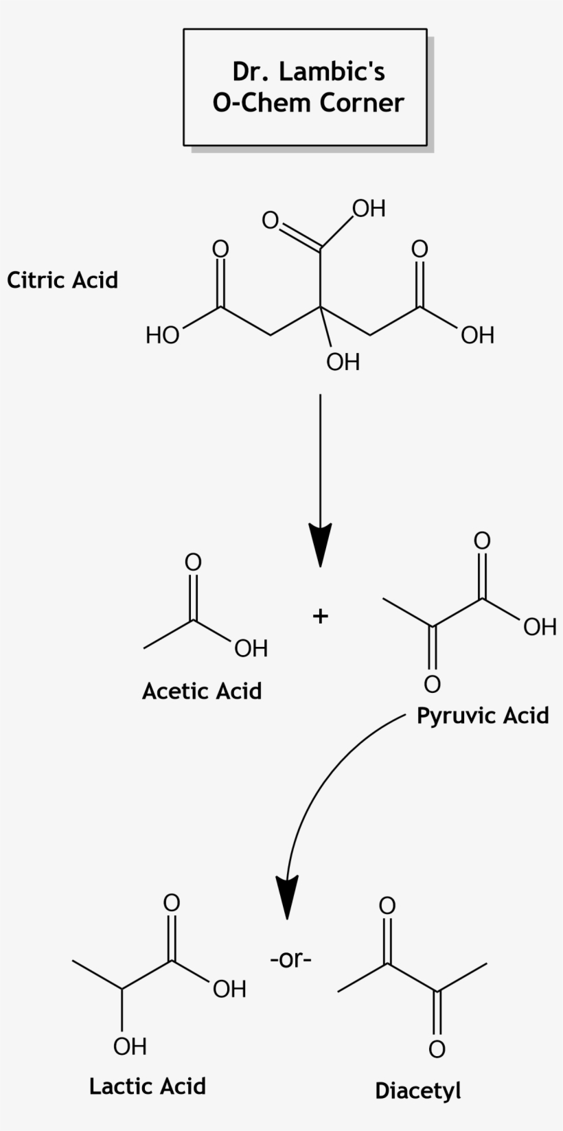 Malolactic Fermentation - Diagram - 1214x2364 PNG Download - PNGkit