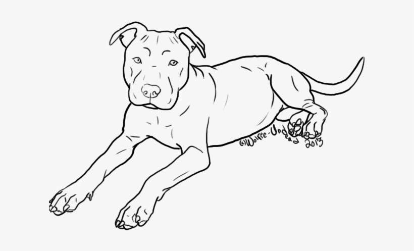 Pitbull Puppy Outline