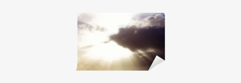 Photograph - 400x400 PNG Download - PNGkit