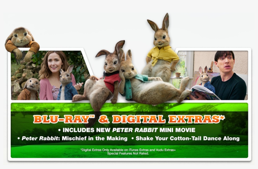 Peter Rabbit Movie Supports Responsible Pet Adoption - Mopsy Peter ...