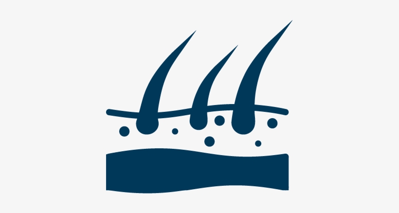 Infection And Inflammation 3d Tissue Models - Dermatology - 625x626 PNG ...