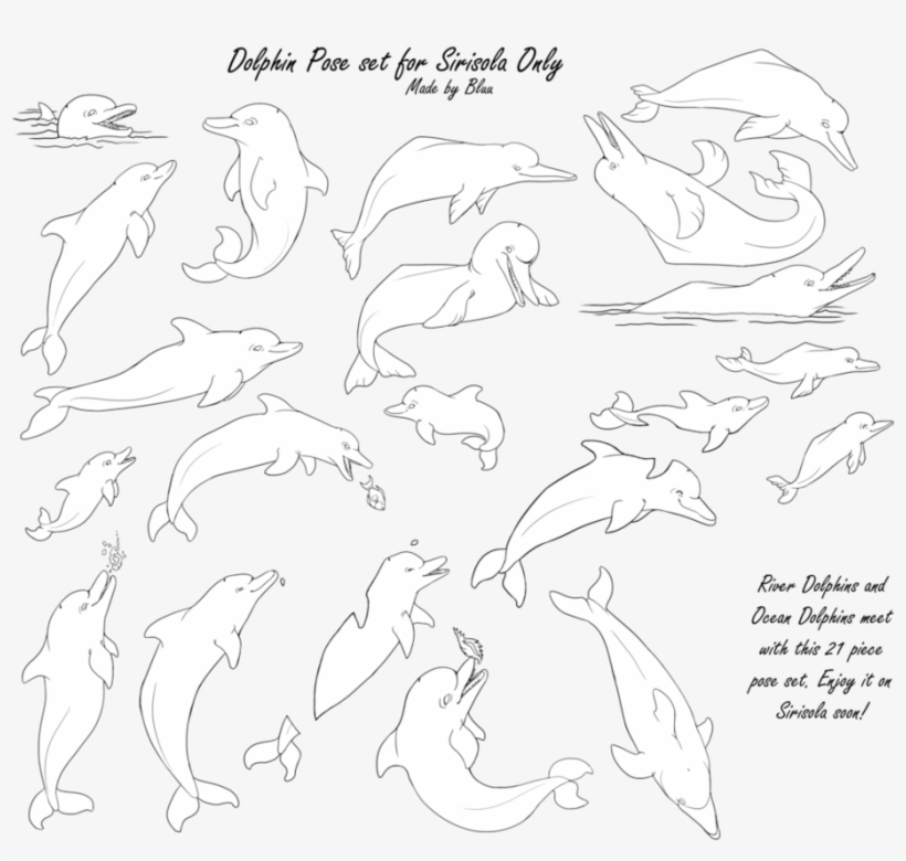 Dolphin Pose Set For Sirisola Wip By - Group Of Dolphins Drawing ...