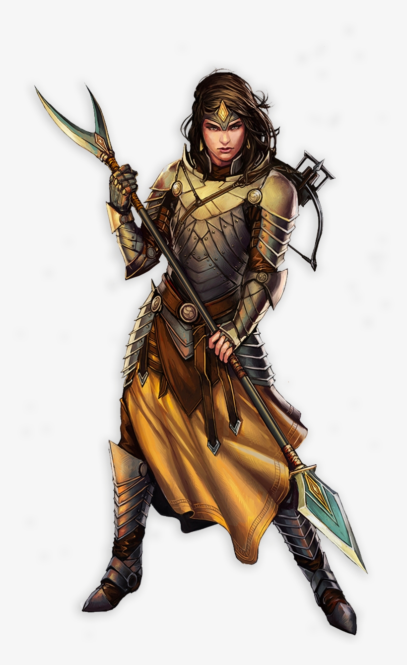 Warhammer Fantasy - Pathfinder Female Warriors - 1052x1265 PNG Download ...