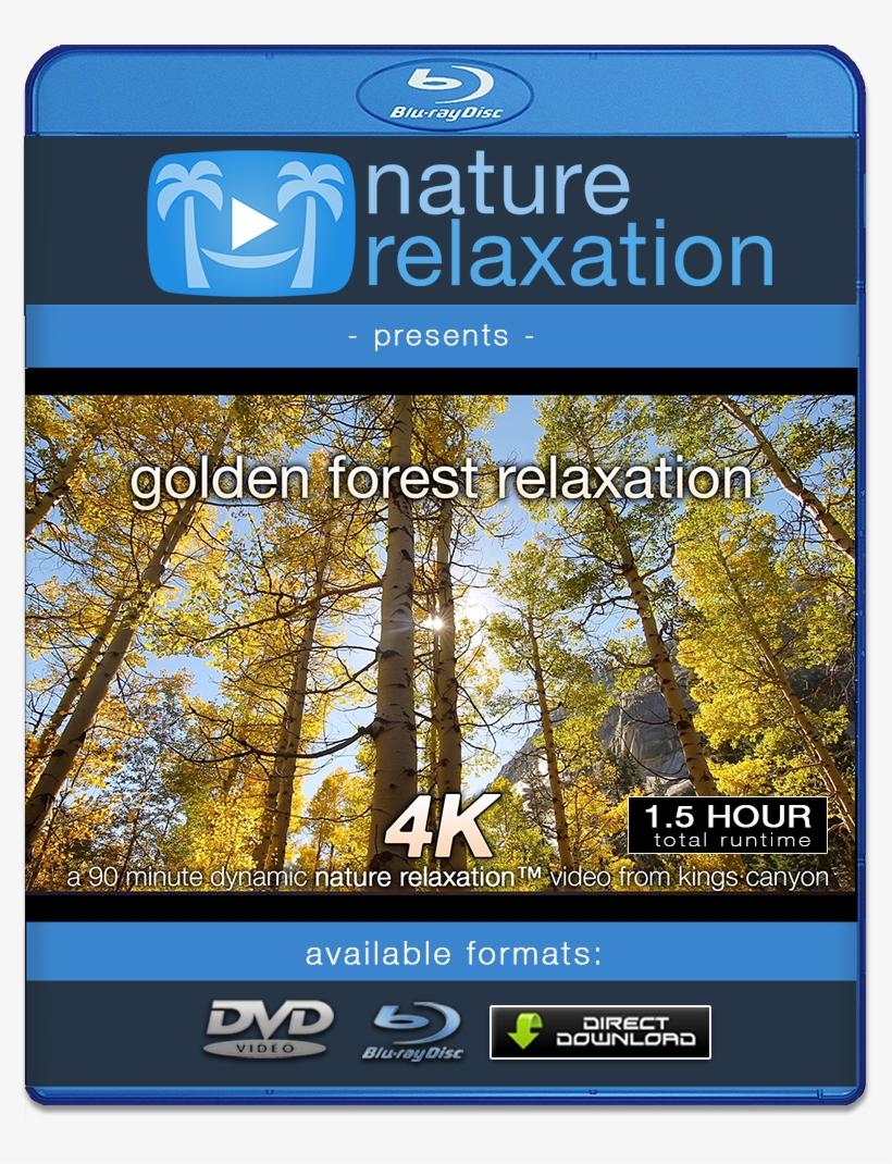 4k Resolution - 1000x1000 PNG Download - PNGkit