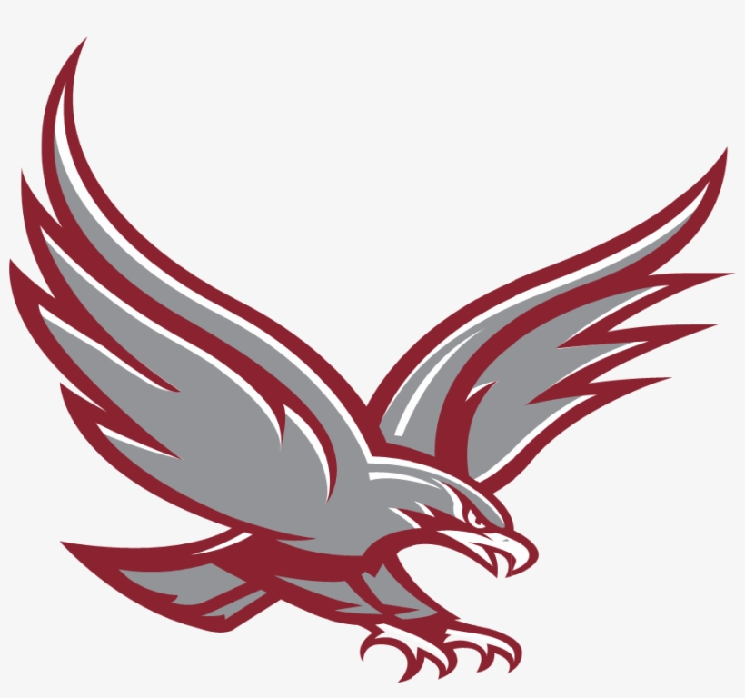 Albertus Magnus Home Page Png High School Falcon Logo - Albertus Magnus ...