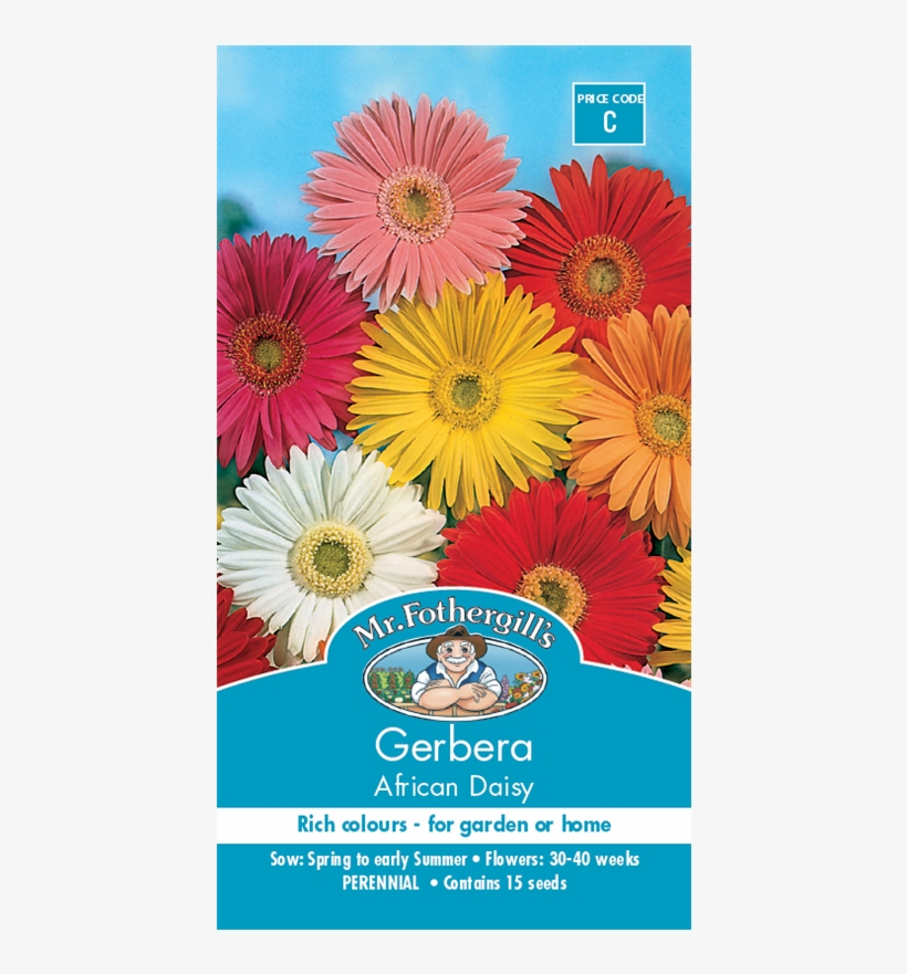 Mr Fothergill's Gerbera African Daisy Mixed Seeds - Johnsons Seeds ...