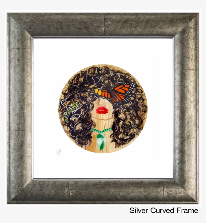 Monarch Silver Curved Frame - Picture Frame - 864x864 PNG Download - PNGkit