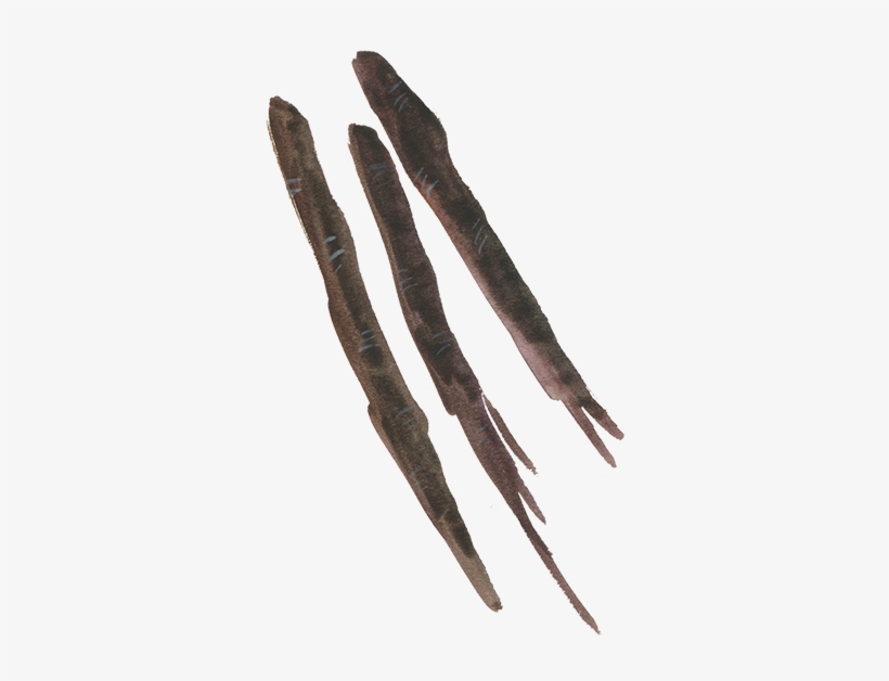 Twig - 345x548 PNG Download - PNGkit