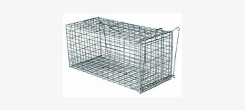 Possum Trap Wire - Cage - 400x400 PNG Download - PNGkit