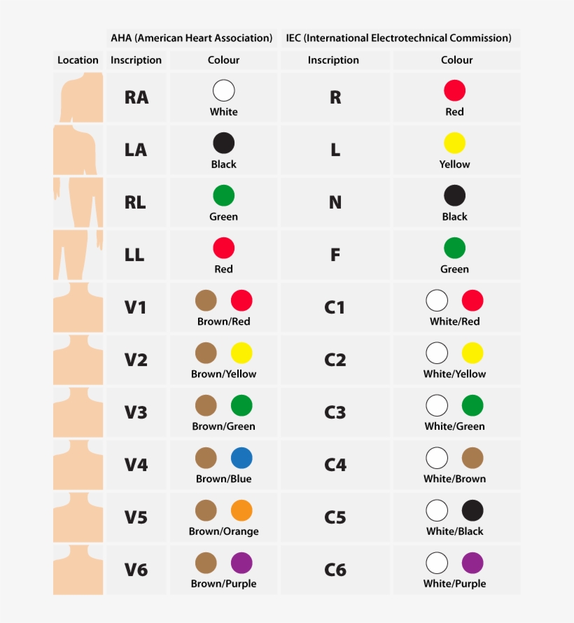 Color Coding Standards For The 12 lead Ecg Electrocardiography