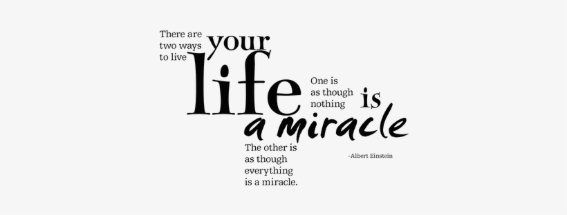 >life Is A Miracle - Live For Your Feelings - 400x306 PNG Download - PNGkit