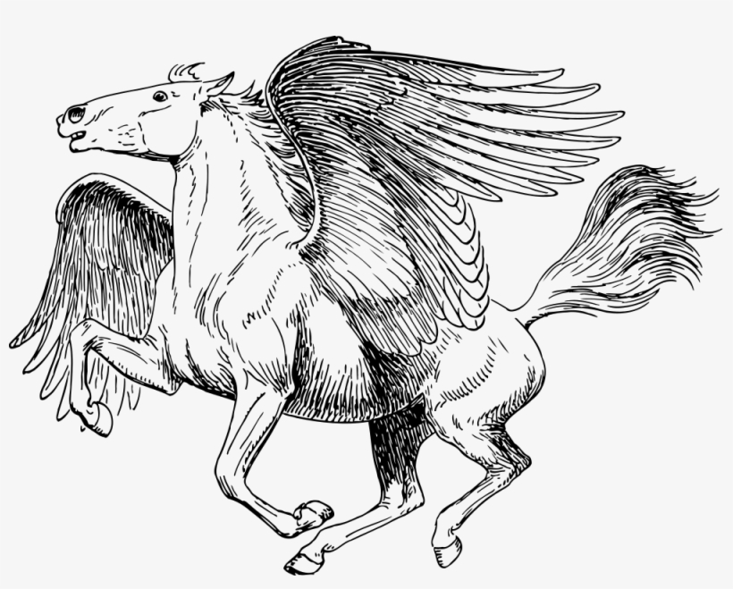 Pegasus Transparent Greek Svg - Drawing Of Flying Horse - 1000x755 PNG ...