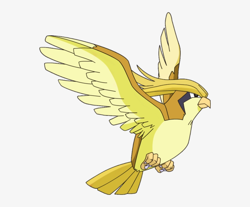 01, September 3, 2013 - Pokemon Pidgeot - 562x599 PNG Download - PNGkit
