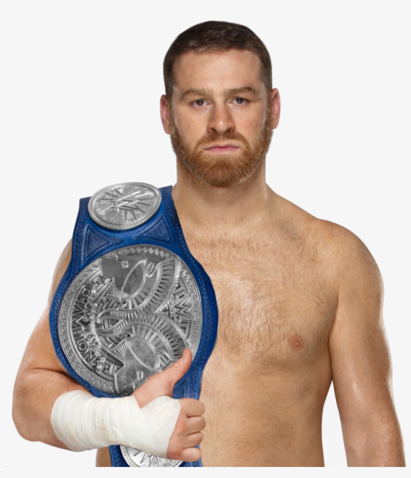 Sami Zayn Png - Sami Zayn - 846x944 PNG Download - PNGkit