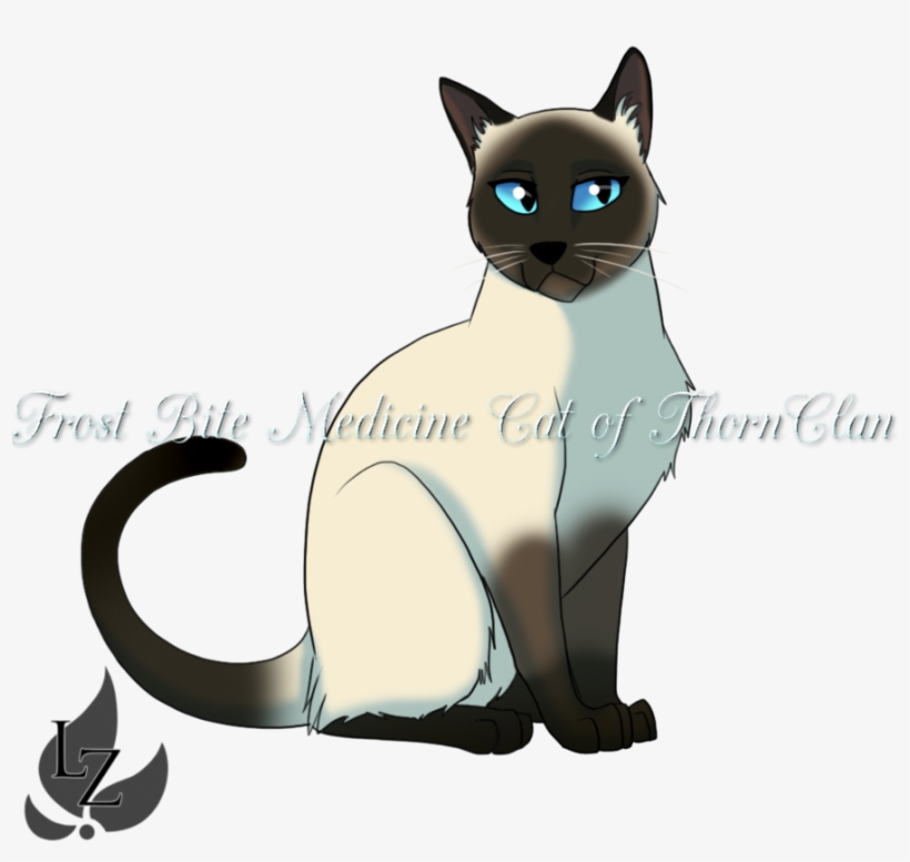 Siamese Cat By Zavraan-d8v2389izt - Cute Siamese Cat Drawing - 894x894 ...