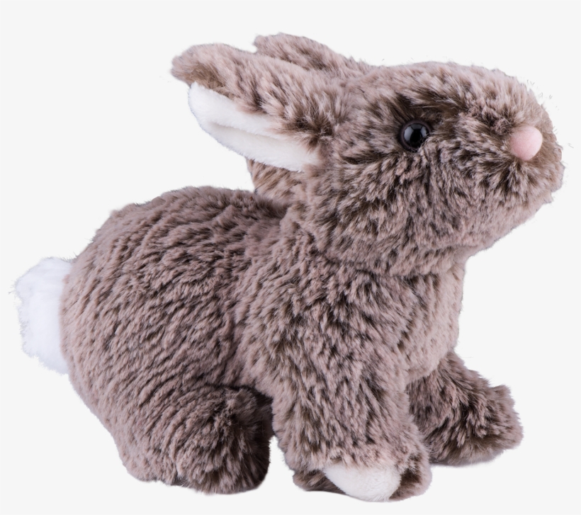 Stuffed Toy - 2000x1335 PNG Download - PNGkit