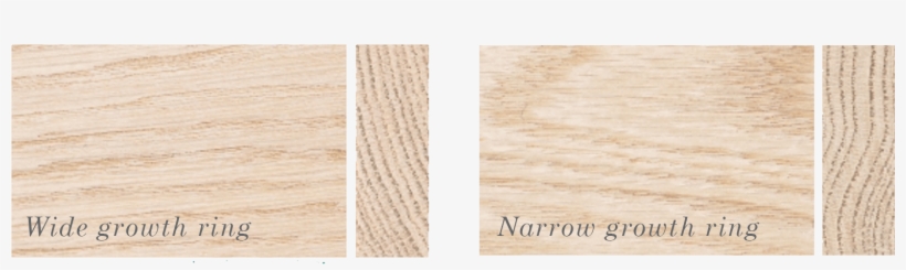 Growth Ring - Wood - 1600x402 PNG Download - PNGkit