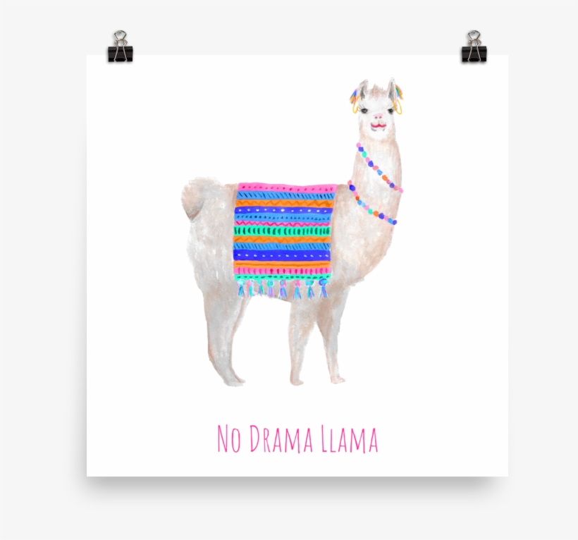 No Drama Llama Poster - Llama - 1000x1000 PNG Download - PNGkit