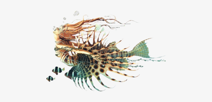 Visit - Lionfish Mermaid - 500x346 PNG Download - PNGkit