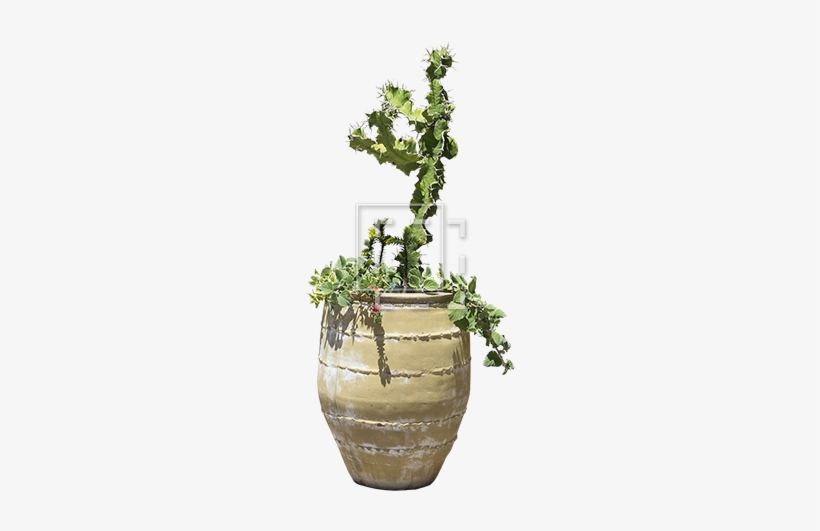 Parent Category - Big Plant Pot Png - 450x450 PNG Download - PNGkit