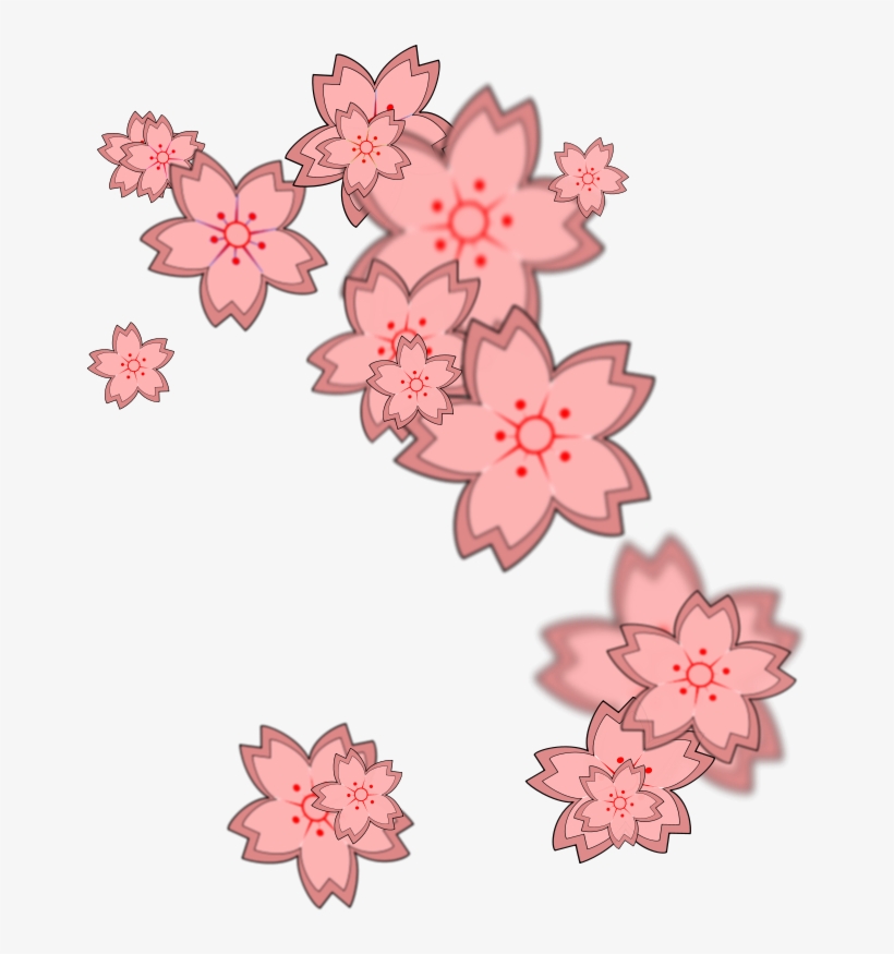 Cherry Blossom Petal Vector