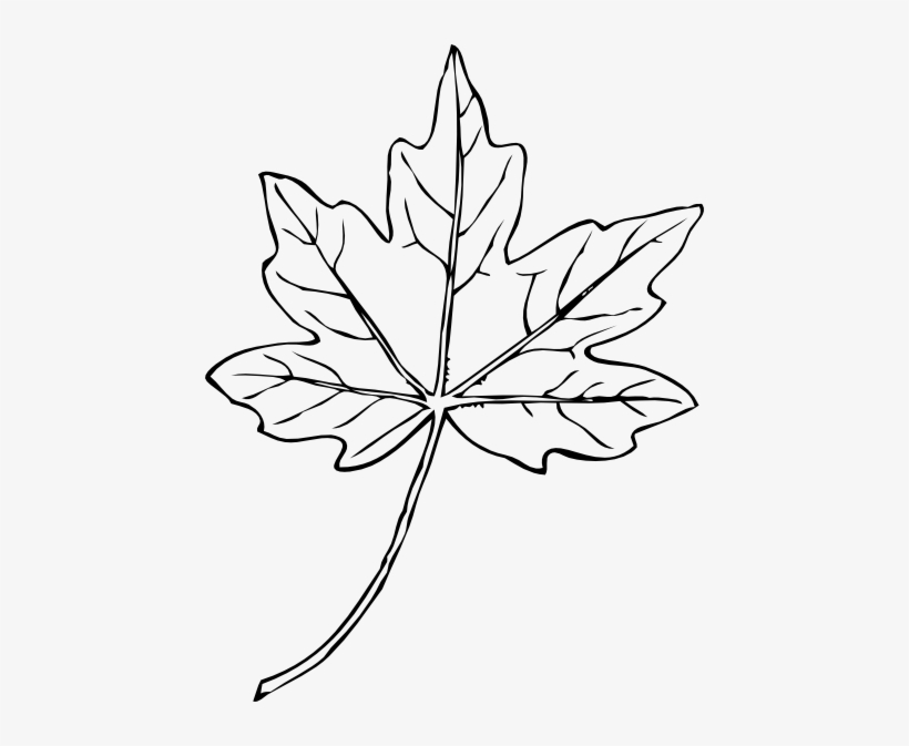 Maple Leaf Clip Art At Clker - White Maple Leaf Clipart - 450x593 PNG ...