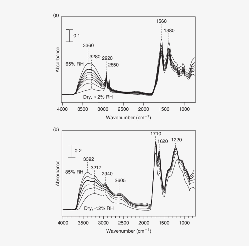 Download - Fourier-transform Infrared Spectroscopy - 469x731 PNG ...
