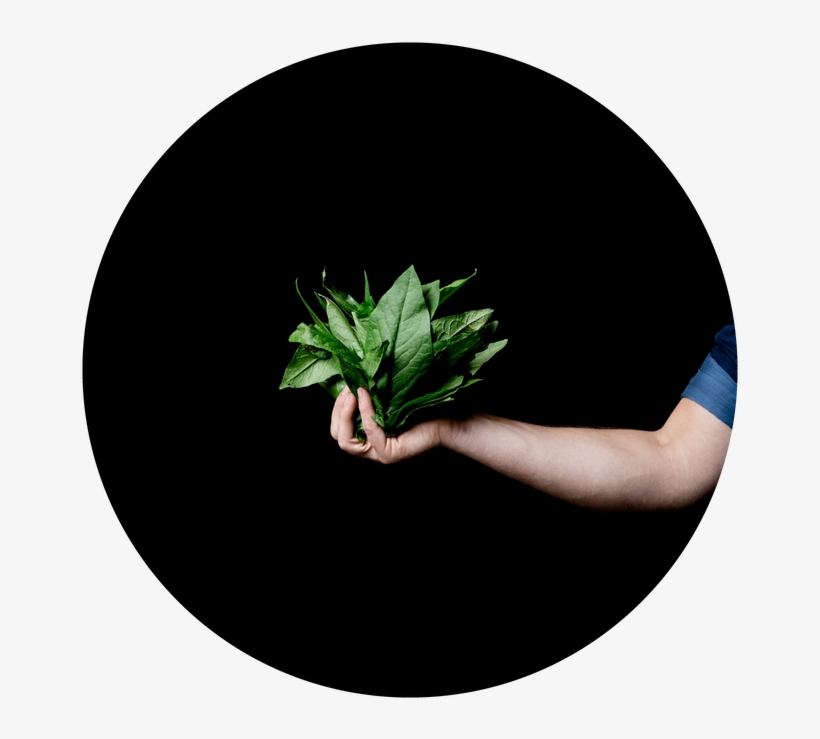 Previous - Emblem - 980x658 PNG Download - PNGkit