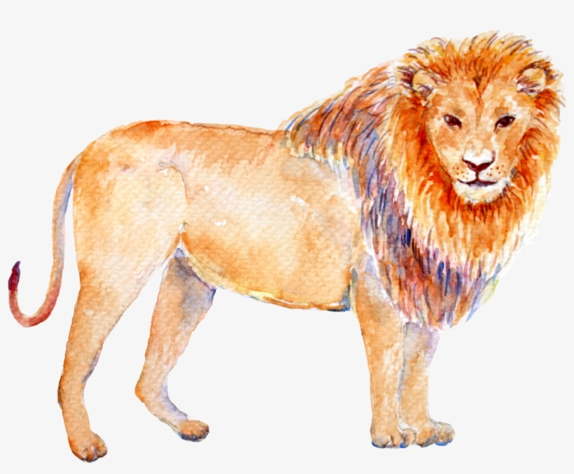 Leo - Astrological Sign Animals - 1000x771 PNG Download - PNGkit