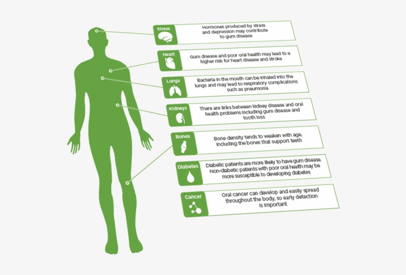 Overall-768x660 - Standing - 768x660 PNG Download - PNGkit