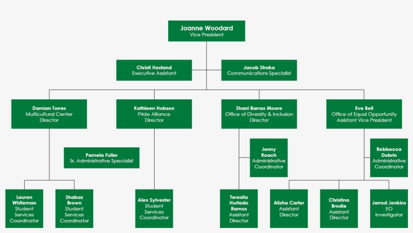 Division Of Institutional Equity & Diversity Org Chart - Equity ...
