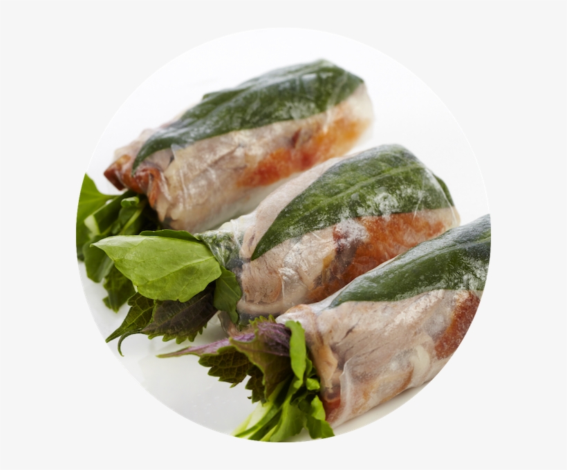 Roast Duck - Duck Meat - 600x600 PNG Download - PNGkit