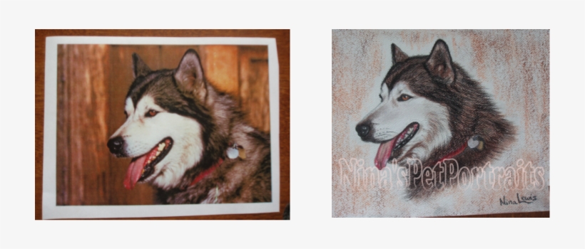 Picture - Cool Drawings - 723x270 PNG Download - PNGkit