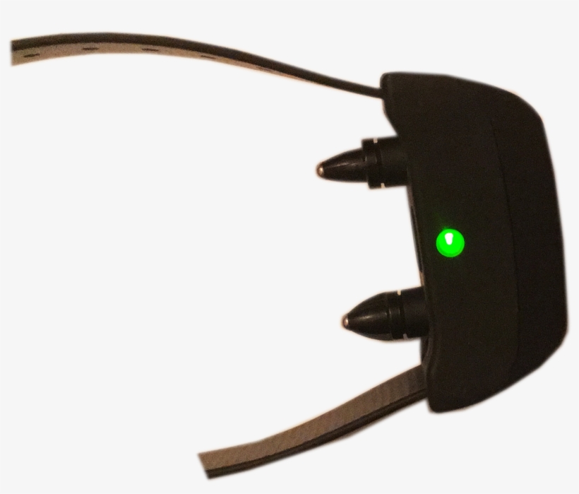 Electronic Collars Work - Hunting Dog - 2081x1720 PNG Download - PNGkit