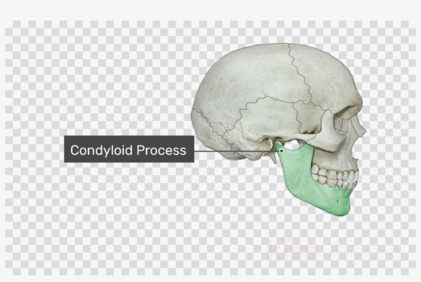 Peace Logo No Background Clipart Royalty-free Logo - 900x560 PNG ...