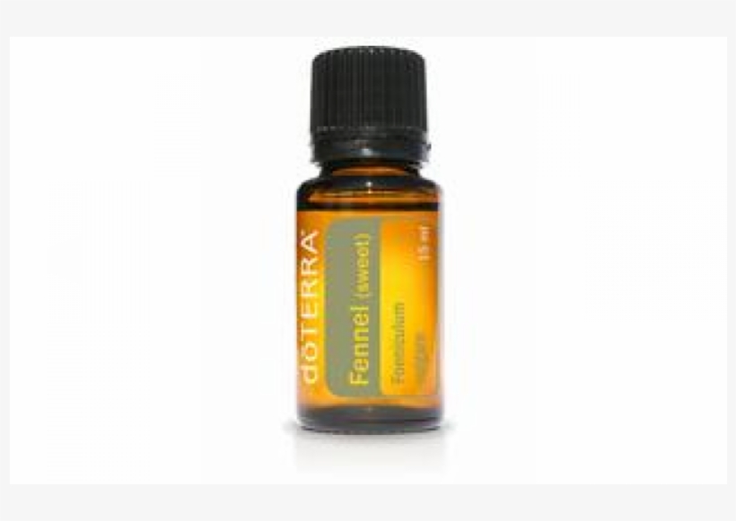 Fennel 15 Ml - Doterra Frankincense Essential Oil - 15 Ml - 800x800 PNG ...