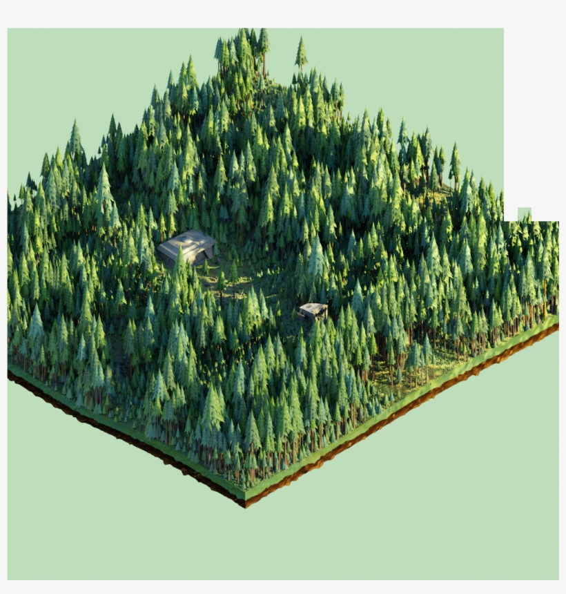 Sitka Spruce - 2000x2000 PNG Download - PNGkit