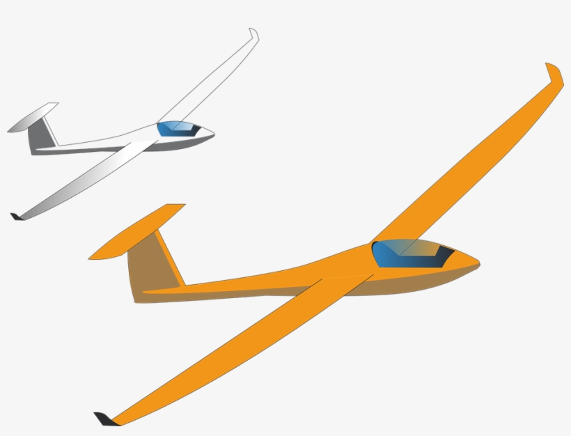 Anatomical Drawing Historical - Aliante Png - 960x687 PNG Download - PNGkit