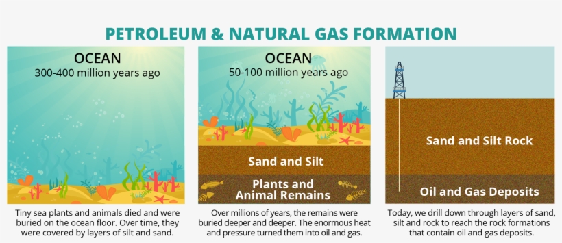 Petroleum Formation