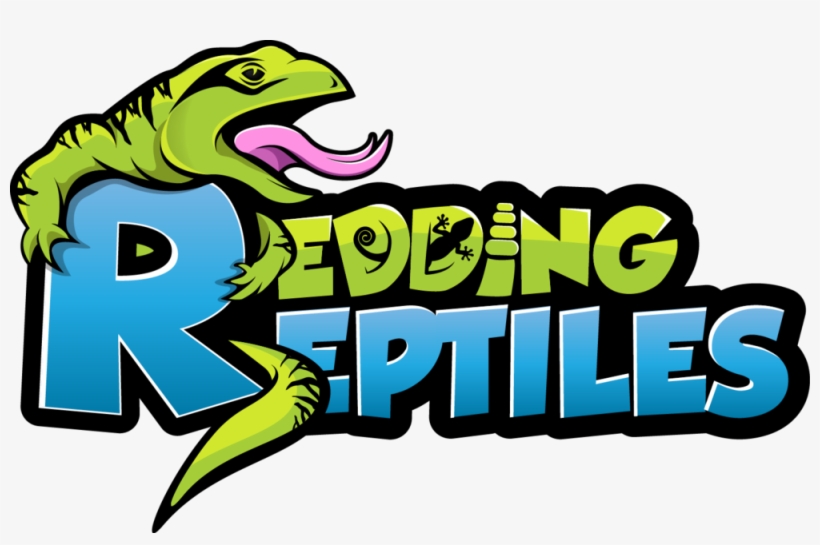 Reptile Eye Png - 1000x617 PNG Download - PNGkit