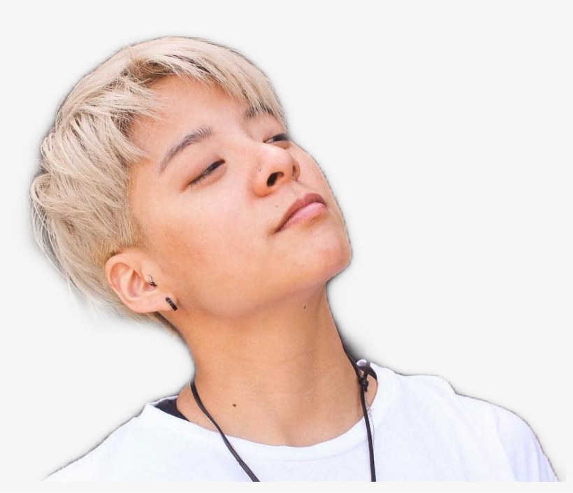 Download Transparent Amber Sticker - Llama - PNGkit