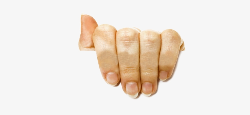 Download Transparent Hand Hand Png - Hand Png - PNGkit