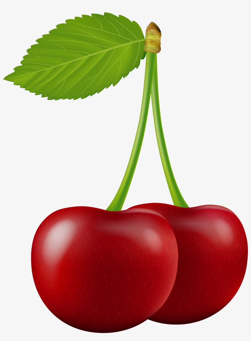 Cherries Clipart Coffee Cherry - 6092x8000 PNG Download - PNGkit