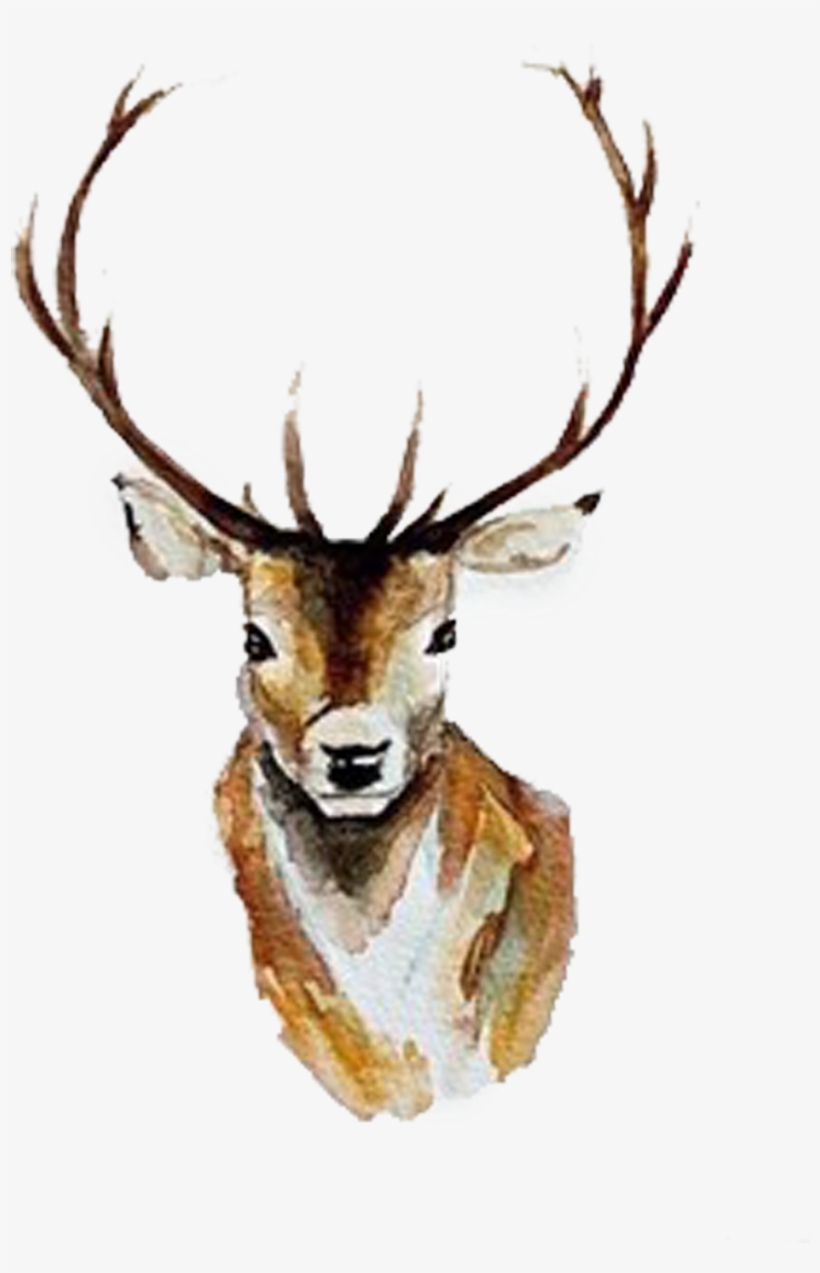 Watercolor Deer Antlers Png - Deer Watercolor - 999x1499 PNG Download ...